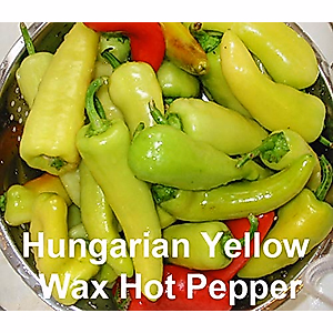 PLEASE READ! THIS IS A MIX!!! 30+ Hot Pepper Mix Seeds, 16 Varieties Heirloom NON-GMO Habanero, Tabasco, Jalapeno, Yellow and Red Scotch Bonnet, Ships from USA! US Grown.