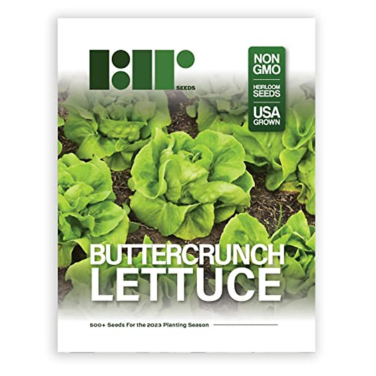 500 Buttercrunch Lettuce Seeds for Planting - Heirloom Non-GMO Vegetable Seeds for Planting - Hydroponics - Microgreens - AKA Butterhead Lettuce, Boston Lettuce, Bibb Lettuce Lactuca Sativa