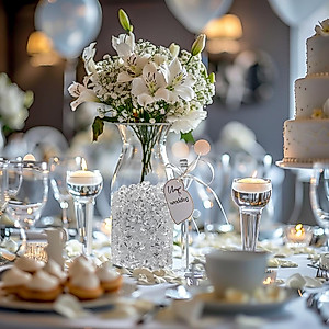 Fake Ice Cubes 750 PCS Clear Acrylic Rocks Vase Fillers for Centerpieces,Crystal Gems Stones Dazzlers Diamonds for Decor Photography Prop,Arts Crafts,Table Scatter,Home Decoration