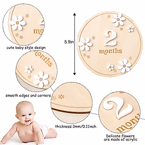 Wooden Boho Daisy Flower Milestone Cards - 1-12 Months Interchangeable Milestone Card Decor,Baby Party Photo Prop，Full Moon Background Decoration Props. (2-12 Months Daisy Flower Milestone Cards)