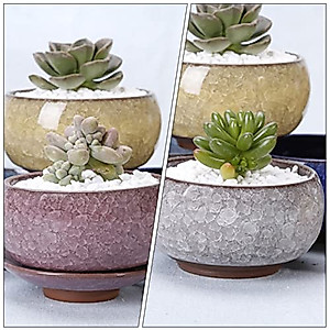 Yardwe 3 Sets Balcony Table and Pot Desk Container Cup Garden Hole Flower Style Containers Green Modern Round Gardening Bonsai Trays Greenhouse Tray Nursery Vintage Ceramic