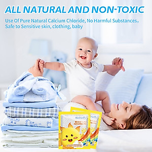 NATRUTH 12-PACK Moisture Absorber Bags with Lavender, Drawer Dehumidifier Home Desiccant Small Bag Use for medicine boxes, underwear boxes, Eliminates Odors, Closet Dehumidifier Bags for Small spaces