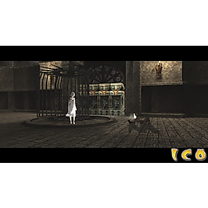 The ICO and Shadow of the Colossus Collection