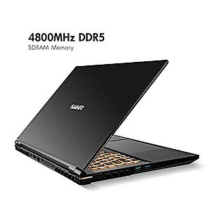 Sager 2023 NP8875D Gaming Laptop, 17.3 Inch UHD 144Hz 100% DCI-P3 G-Sync, Intel i9-13900HX, RTX 4060 8GB, 32GB RAM, 2TB Gen4 NVMe SSD, Win 11