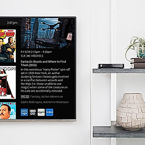 TiVo MINI VOX Streaming Media Player, 4K UHD, With Voice Remote! (TCDA95000)