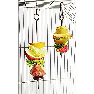 Pet Bird Food Fork Stainless Steel Hanging Bird Treat Feeders Bird Treat Skewer Parrot Foraging Toy for Parrots Cockatoo Cockatiel