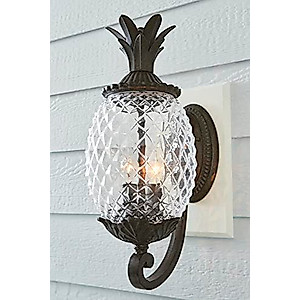 Acclaim 7501BC Lanai Collection 2-Light Wall Mount Outdoor Light Fixture, Black Coral