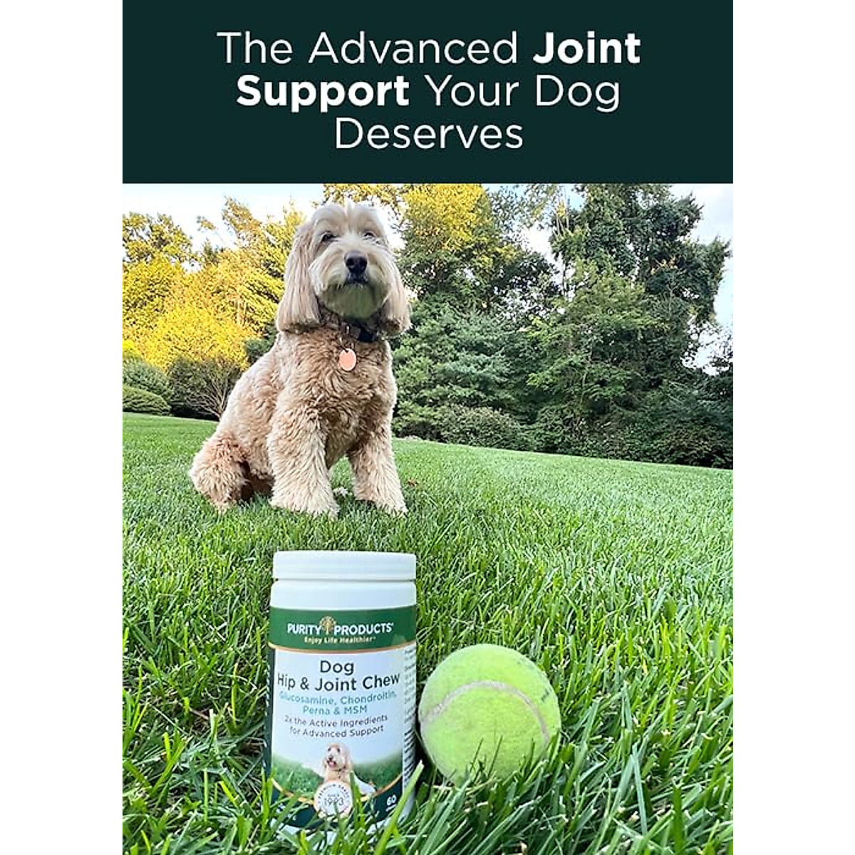Purity Products Dog Hip and Joint Advanced Support Chews MSM, Glucosamine, Chondroitin & Perna (Green-Lipped Mussel) - Supports Canine Cartilage Health, Mobility, Flexibility & Comfort - 60 Chews
