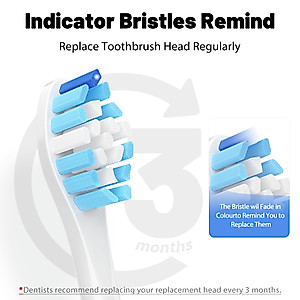 Replacement Toothbrush Brush Heads Compatible with Philips Sonicare Electric Rechargeable Toothbrushes, Tooth Brush Heads for Snap-on System, for Effective Cleansing and whitening, Pack of 8, White