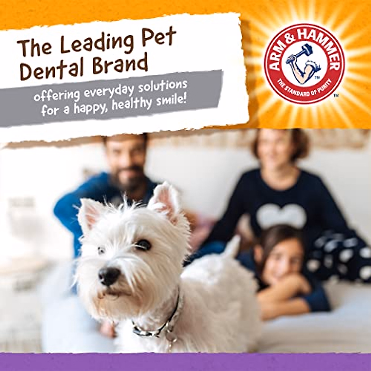 Arm & Hammer for Pets Nubbies Orion Dog Dental Toy| Best Dog Chew Toy for Moderate Chewers | Dog Dental Toy Helps Reduce Plaque & Tartar Without Brushing (Pack of 1)