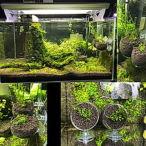 Senzeal 2X Crystal Glass Aquatic Plant Cup Pot with 4X Suction Cups for Fish Tank Aquarium Aquascape