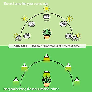 Necgemlex Smart LED Grow Light Bulbs with Remote Controller, Sun Mode, Built-in Daily Auto Timer, 4500K, A21/A70 E26/E27 9W Dimmable Full Spectrum Grow Bulbs for Indoor Plants, 2 Pack