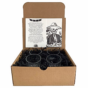 The Curated Pantry Vaso Veladora Mezcal Glasses from Mexico (Pack of 4)