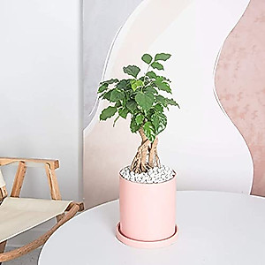 EtooCafe Planters for Indoor Plants Ceramic Flower Succulent Plant Pots with Drain Hole Saucer Decor for Home Office (6 inch Pink)