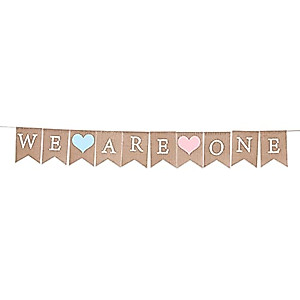 Twins Banner for 1st Birthday - We Are One Banner, Twins Birthday Party Banner, Twins Frist Birthday Decor, Girls Boys First Birthday Decoration,Photo Prop