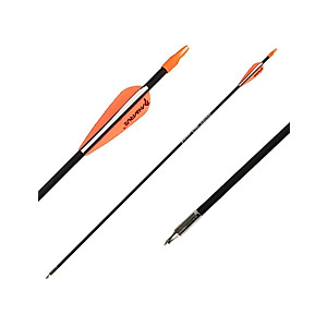 PANDARUS Archery 28" Fiberglass Archery Target Practice Arrows, for Children, woman or Beginner, for Recuve Bow(Pack of 12) …