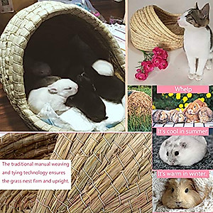 Hamiledyi Bunny Grass Bed, Rabbit Woven Hay Bed, Small Pets Natural Handcrafted Grass House with Hay Chew Balls for Chinchillas Guinea Pigs Hedgehog Rat 3PCS
