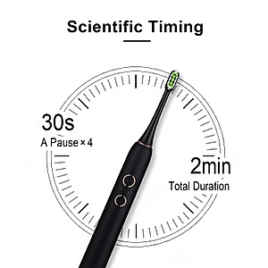 north lover Smart Sonic Rechargeable Electric Toothbrush with 4 Replacements (Black)