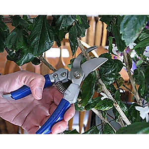 Coolife Professional Garden Bypass Pruning Shears, Heavy Duty Sharp Hand Pruner for Trees, Hedges, Bonsai, Shrubs and Roses