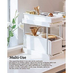 COELO Under Sink Organizer 2-Tier Shelf Kitchen Bathroom Cabinet Multi-purpose Multi-use Dish Brush Storage Sponge Holder Standing Rack, White