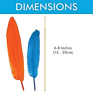 120pcs Colorful Goose Feathers for DIY Crafts, Jewelry Making, Wedding, Home or Party Decorations, 12 Colors (6-8 Inches)