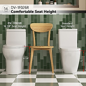 DeerValley DV-1F026R Elongated One Piece Toilet, Dual Flush 1.1/1.6 GPF Toilet with ADA Comfortable Seat Height, Powerful & Quiet Modern Standard Toilet for Bathroom, 10" Rough-In
