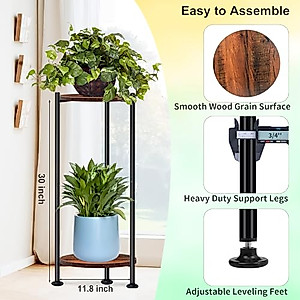 Lilybud--lily Plant Stand Indoor Outdoor, 30'' Tall Plant Stands for Indoor Plants, Heavy Duty Indoor Plant Stands, 2 Tier Flower Stand for Living Room, Balcony, Deck