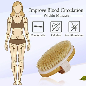 TEMEAYE Dry Brushing Body Brush, Body Skin Exfoliator Scrubber, for Skin Dry Brushing Massage, Lymphatic Drainage & Blood Circulation Improvement, Medium Strength (Boar Bristle and Wooden Handle)