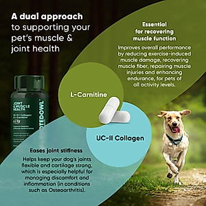 Rooted Owl Joint and Muscle Health - Hip and Joint Supplement for Dogs with UC-II Type II Collagen and L-Carnitine - Medium and Large Dog Joint Supplement - 30/ct