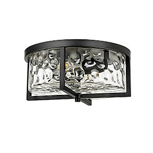 Odeums Indoor Flush Mount Lights, 2-Lights Interior Exterior Ceiling Lights Fixture, Antique Bronze Finish with Clear Hammered Glass