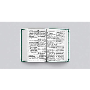 ESV Value Large Print Compact Bible (TruTone, Teal, Ornament Design Size: 8.0)