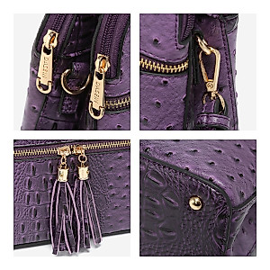 Dasein Women Tassel Zipper Pocket Crossbody Bag Shoulder Purse Fashion Travel Bag with Multi Pockets(Ostrich Purple)