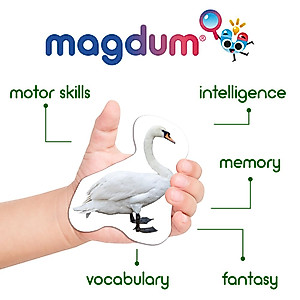 25 Fridge Magnets for Toddlers - Birds Photo Kids Magnets for Fridge - Toddler Magnets for Refrigerator - Magnetic Animals - Fridge Magnets for Kids - Animal Magnets - Toddler Fridge Magnets