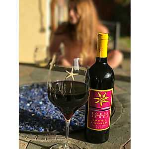 Simply Charmed Beach Wine Charms Magnetic Glass Markers Set of 6 Tropical Summer Charms