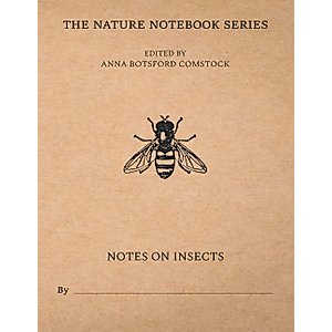 Notes on Insects: The Nature Notebook Series