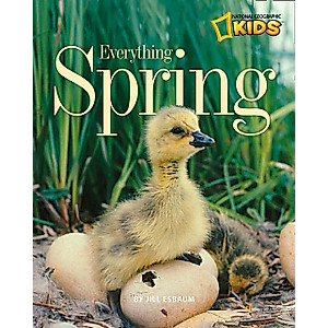 Everything Spring (Picture the Seasons)