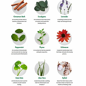 Dental Herb Company - Essentials Toothpaste - Truly Natural Fluoride-Free and SLS-Free - Superior Defense Against Bleeding and Irritated Gums, Dry Mouth, and Mouth sores. (4 oz.)