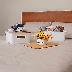 Citylife 2 PCS Storage Bins with Bamboo Lids Plastic Storage Containers for Organizing Stackable Storage Box with Handle, 15.16 x 10.79 x 5.83 inch