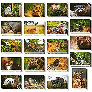 Wild Animal Kids Postcards, 20 Designs (4x6 In, 40 Pack)