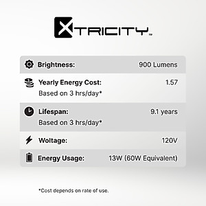 Xtricity Compact Fluorescent Light Bulbs T2 Spiral, E26 Base, 13W (60W Equivalent), 5000k Daylight, 900 Lumens, CFL, 120V - UL Listed, (4 Pack)
