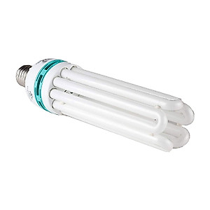 SunBlaster SL0900163 Full Spectrum CFL 6400K Self Ballasted Light Bulb for Indoor Grow Lamp and Hydroponic Systems with Mogul Socket, 125 Watts