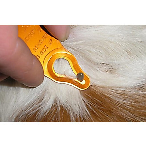 Tick Key pack of 2 Assorted