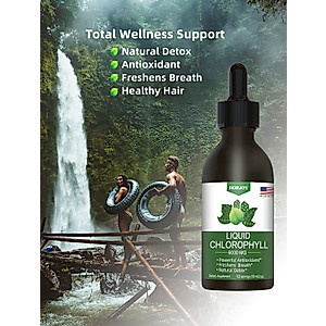 Chlorophyll Liquid Drops - 100% Natural Energy Booster and Immune Support - Internal Deodorant and Detox - Altitude Sickness Relief - Fast Absorption, Vegan & Non-GMO - 120 Servings (Pack of 1)