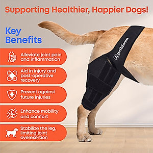 petbloom Dog Knee Brace for Torn ACL, Hip Dysplasia, Arthritis Pain Relief, Osteoarthritis, and Ligament Injuries, Adjustable Neoprene Support for Front or Hind Leg, Black (Large)