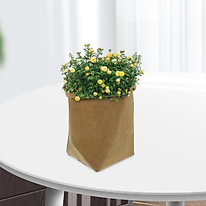 BESTOYARD 2pcs Bags for Planting Small Paper Bag Organizers Brown Paper for Leaves Refrigerator Containers Kraft Bags Plant Basket Paper Garden Ornament Container Decorations Washable