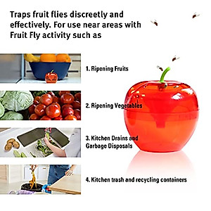 Raid Fruit Fly Trap for Indoors | Effective Fly Killer | Insect Catcher | Fruit Fly Killer & Gnat Traps for House Indoor | Easy to Use & 120 Day Food-Based Lure Fly Catcher (2 Pack)