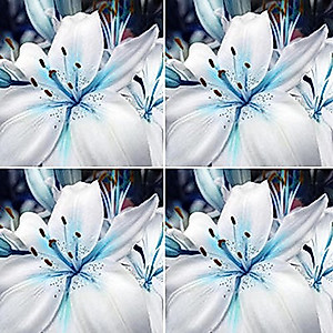 Blue Rare Lily Seeds for Yard Gardening Plant,50Pcs Blue Rare Lily Seeds Planting Lilium Flower Home Bonsai Garden Decor by Mosichi