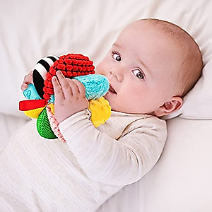 8-in-1 Sensory Balls for Infant Toddlers,Rainbow Fabric Baby Toy for Sensory Development,Montessori Toys for Babies 6-12 months,8 Different Sensory Tactile Textures with Crinkle Rattle Squeakers