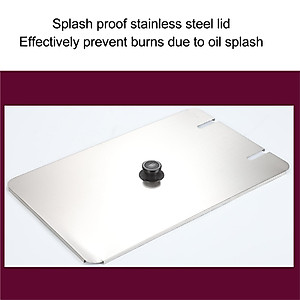 Haofy Stainless Steel Electric Deep Fryer for Fried Chicken French Fries, Single Cylinder Single Sieve 6L Electric Immersion Deep Fryer (US Plug)