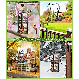 BOLITE 18034 Bird Feeder, Panorama Bird Feeder Single-Deck Lantern 8inch Tall Bird Feeder for Garden Yard Decoration, Bronze, 2lb